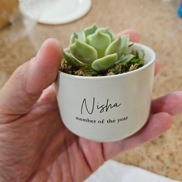 Personalized Mini Succulent Gift | LIVE SUCCULENT INCLUDED | Birthday ...
