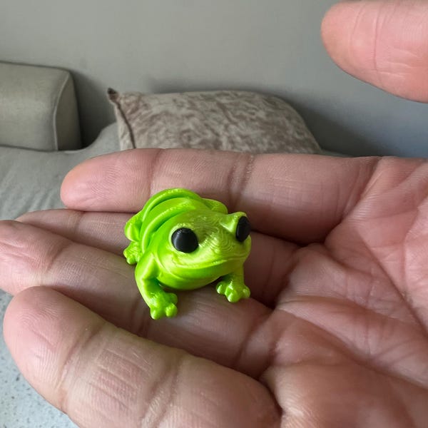 Fidget Frog Fidget Toy, Articulated Sensory Toy, Tiny Frogs, Flexible ...