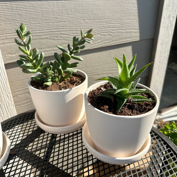 Harmony 7" Planters | Indoor Small Succulent Planters | Planter With ...