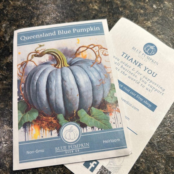 Yugoslavian Fingers heirloom/c.pepo Seeds: Semi-rare, White Finger ...