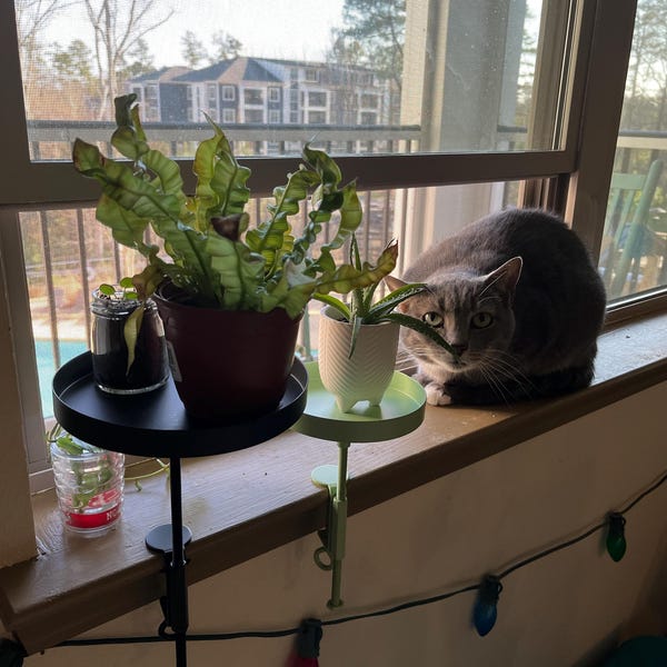 Windowsill Clamp Tray for Indoor Plants, Plant Decor, More Space for ...
