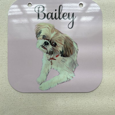 Guinea Pig Name Tag, Guinea Pig Accessories, Pet Tag, Guinea Pig ...