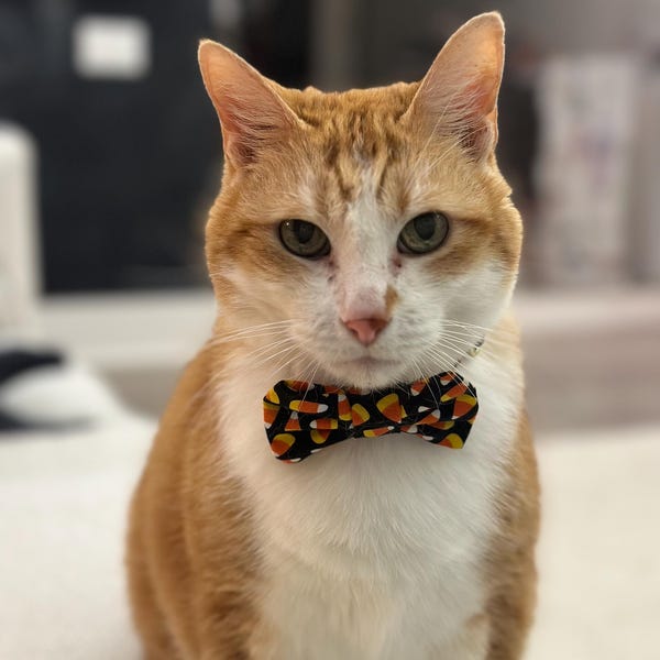 Christmas Cat Bow Tie, Holiday Bow Tie for Cats, Snowman Bow or Collar ...