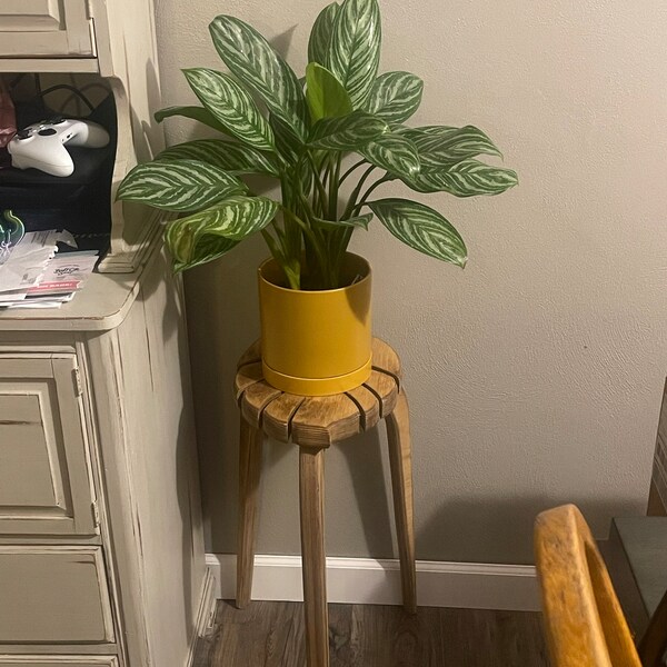 Monstera Stand, Plant Stand, Side Table, Monstera Table, Small Plant ...