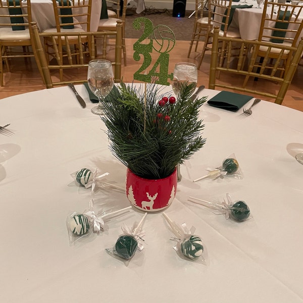 2025 Volleyball Glitter Centerpiece Picks - Class of 2025 Graduation ...