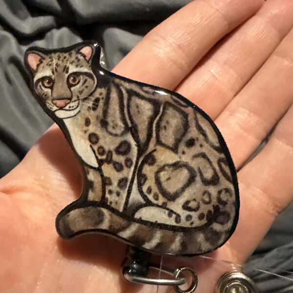 Red Panda Magnet: Gift for Red Panda Lovers Chinese Animal Cute Animal ...