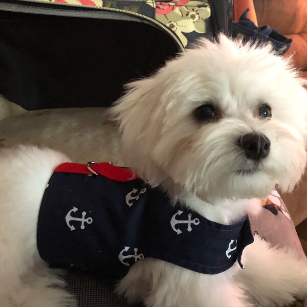 University of Michigan Dog Coat - Etsy