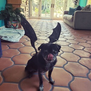 Moogle Inspired Headband - Etsy