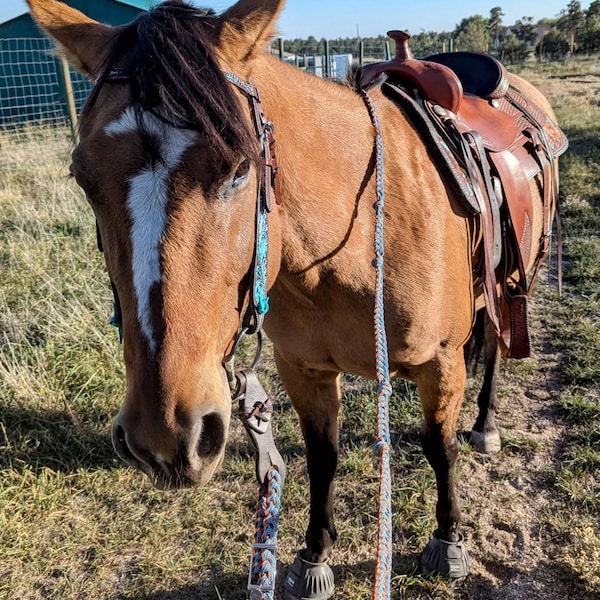 Create Your Own Custom 9 Strand Braided Paracord Barrel Reins Horse ...