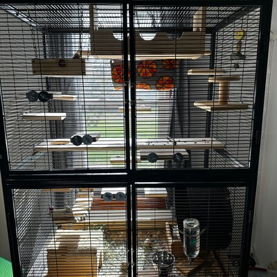 Full Length Cage Ledges for Full Cheeks Chew Proof City Loft Cage Kiln ...