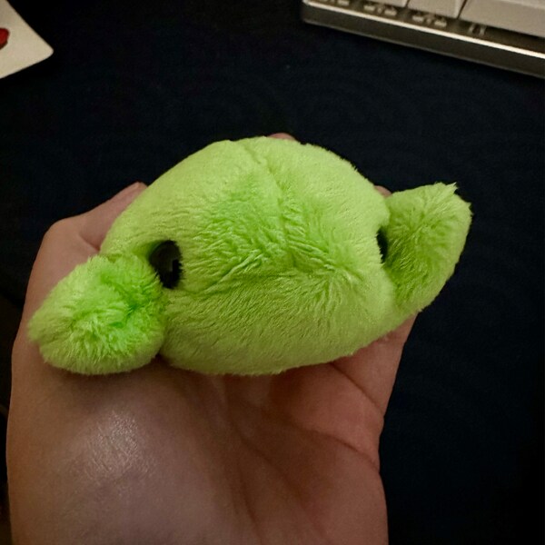 Baby Bean Frog. Cute Soft Fluffy Frog Filled With Plastic Pellets ...