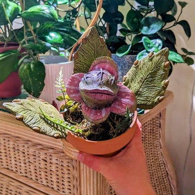 Audrey 2 II little Shop of Horrors - Etsy