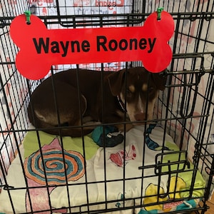 Protected by High Speed Wireless Device Home Security Gun Warning ...