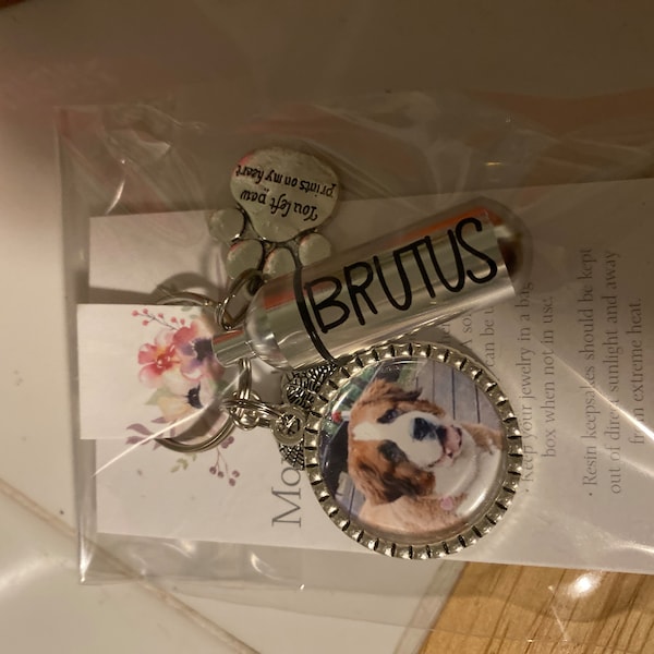 Pet Cremation Key Chain Photo Memorial Key Ring Pet Hair Key Ring for ...