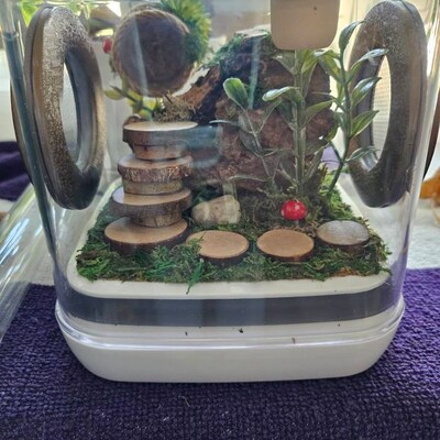 Jumping Spider Enclosure 5x5x9 Spider House, Spider Tank, Spider ...