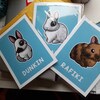Single Bunny Print Existing Rabbit Breed and Color Custom Rabbit ...
