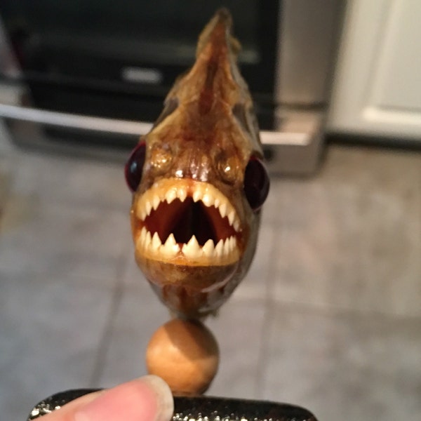 Spiny Sunstar 6 - 8" Sunflower Starfish Ocean Beach Decor Multileg ...