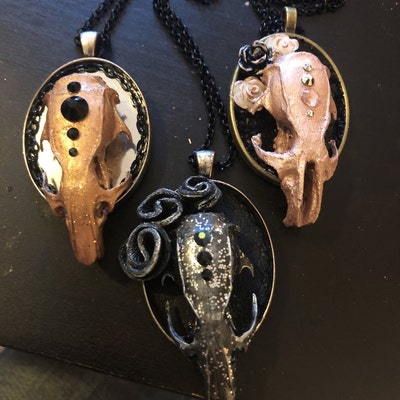 Baby Ball Python SNAKE Wet Specimen Absolutely Beautiful Formalin Fixed ...