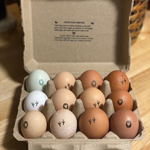 13 Cute Chicken Magnets Pretty Fridge Magnet Chicken - Etsy