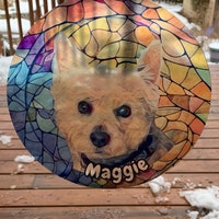 Cavalier King Charles Spaniel Puppy Ceramic Tile Art Wall Tile ...