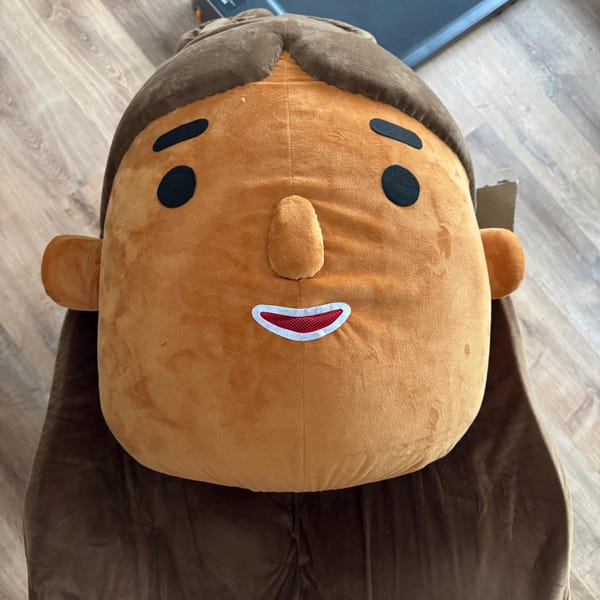 Custom Costume and Head - Custom Mascot Head and Full Mascot + Message ...