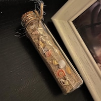 10 Mussel Shells, Varnished / Unvarnished. Fab for Wreaths & Wedding ...