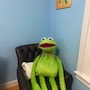 Funny Green Frog Puppet Professional Puppet Hand Puppet Glove Puppet - Etsy