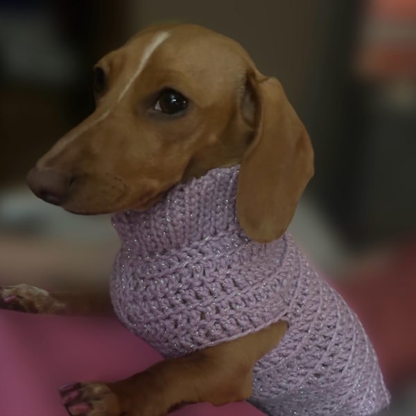 Ledger Sweater CROCHET Pattern - Beginner Friendly Sweater for Dogs in ...