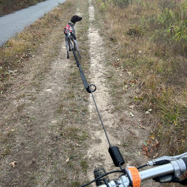 Bikejoring Antenna Bike Springer for Bikejoring Dog Scootering Bike Rod ...