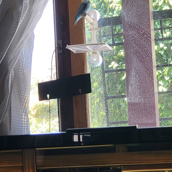 Window Bird Perch Droppings Tray Covers for Our Bird Perch Poo ...