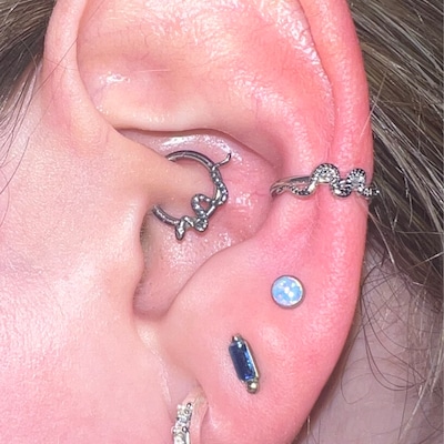 316L Stainless Steel Snake Conch Earring Conch Clicker Conch - Etsy