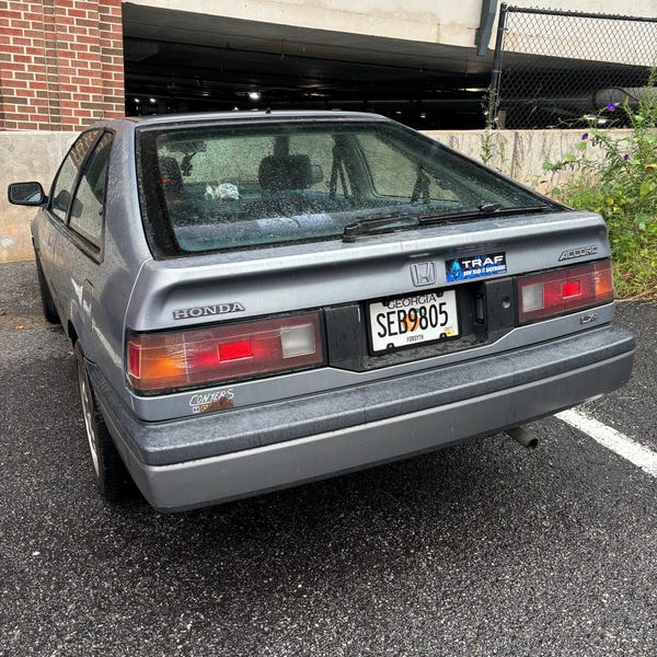 TRAF Now Read It Backwards Bumper Sticker or Magnet: Funny Car ...