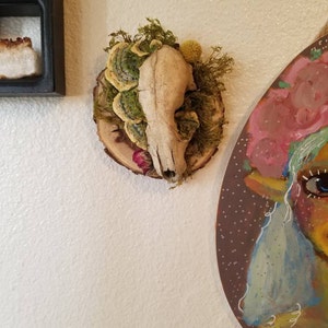 DarkFernCreations - Etsy