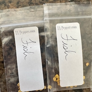 15 Numex Pinata Pepper Seeds isolated-padded Envelope - Etsy