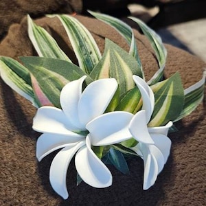 Moana's Kuiga, Moana Movie, Samoan Princess Crown /tuiga/kuiga Pale ...