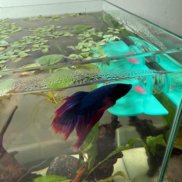 Betta Hammock Wall Flower, Betta Fish Bed Rest Toy, Betta Fish Tank ...