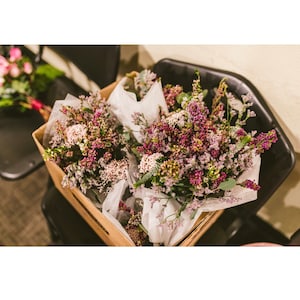 Dried Sage Bunch Sage Dried Herbs Fragrant Dried Sage - Etsy Canada