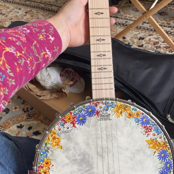 Open-back 5-string Banjo: Wildflower Meadow Design - Etsy