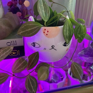 Goldfish Watering Can Fish Watering Can Cute Watering Can | Etsy