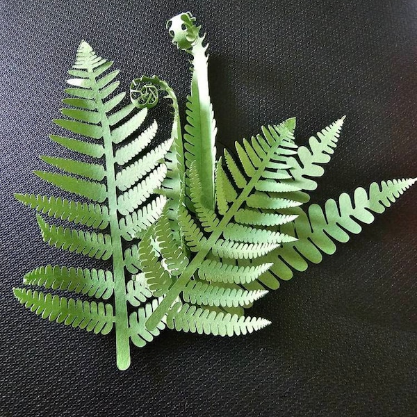 Fern Leaf & Fiddlehead Templates for Cricut, Svg, Pdf, Esp, Dxf ...