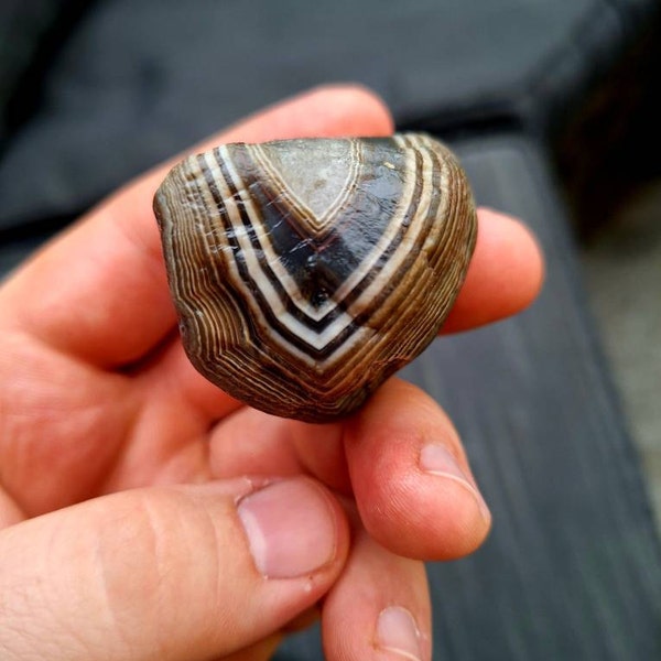 Lake Superior Agates Educational I.D Poster Lake Superior Agates of ...