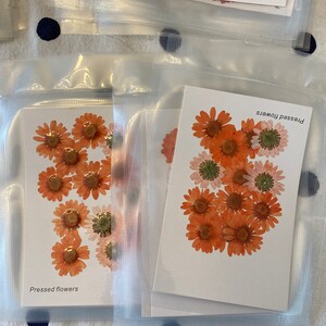 30 pcs I-shaped Wooden Push Pins Drawing pin Thumbtack World | Etsy