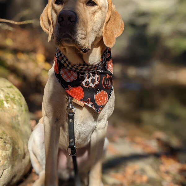 Fall Dog Bandana, Pumpkin Reversible Bandana for Dogs, Tie and Snap ...