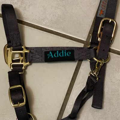 Embroidered Horse Halter Name Tag 1 Line - Etsy
