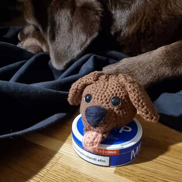 Cute Car Accessories Dog Labrador Retriever, Crochet Keychain Pattern ...