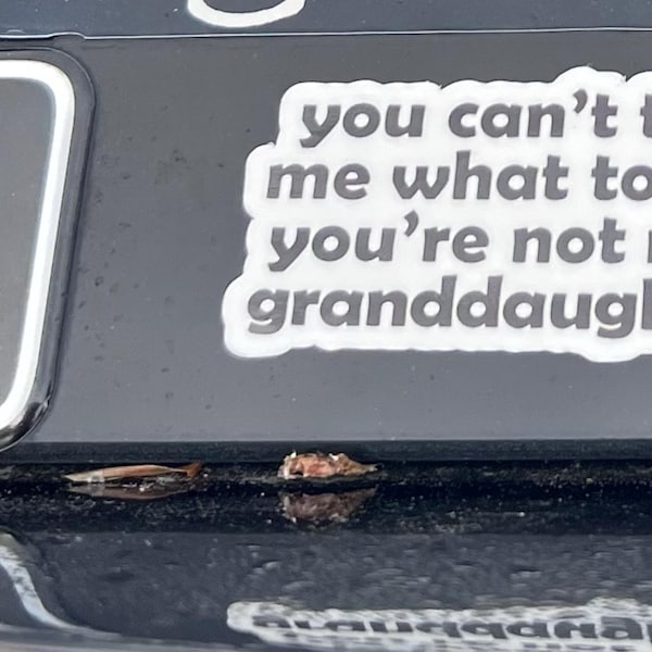Nebraska State Sticker, Nebraska Decal, State Laptop Stickers ...