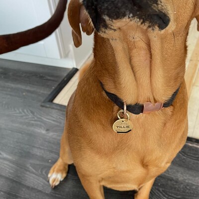 Personalized Vintage Dog Tag // Stamped Dog Tag Dog ID Tag - Etsy