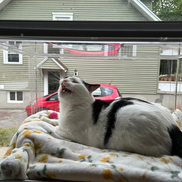 Nido Cat Bed Covers - Etsy