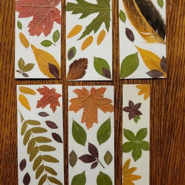 A7 Clear Plastic Greeting Cards Boxes, Set of 25, 5-3/8" X 7-3/8 ...