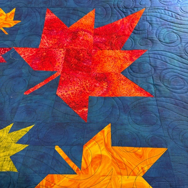 Swoof 1 Longarm Quilting Digital Design Pattern Edge to Edge E2e Panto ...